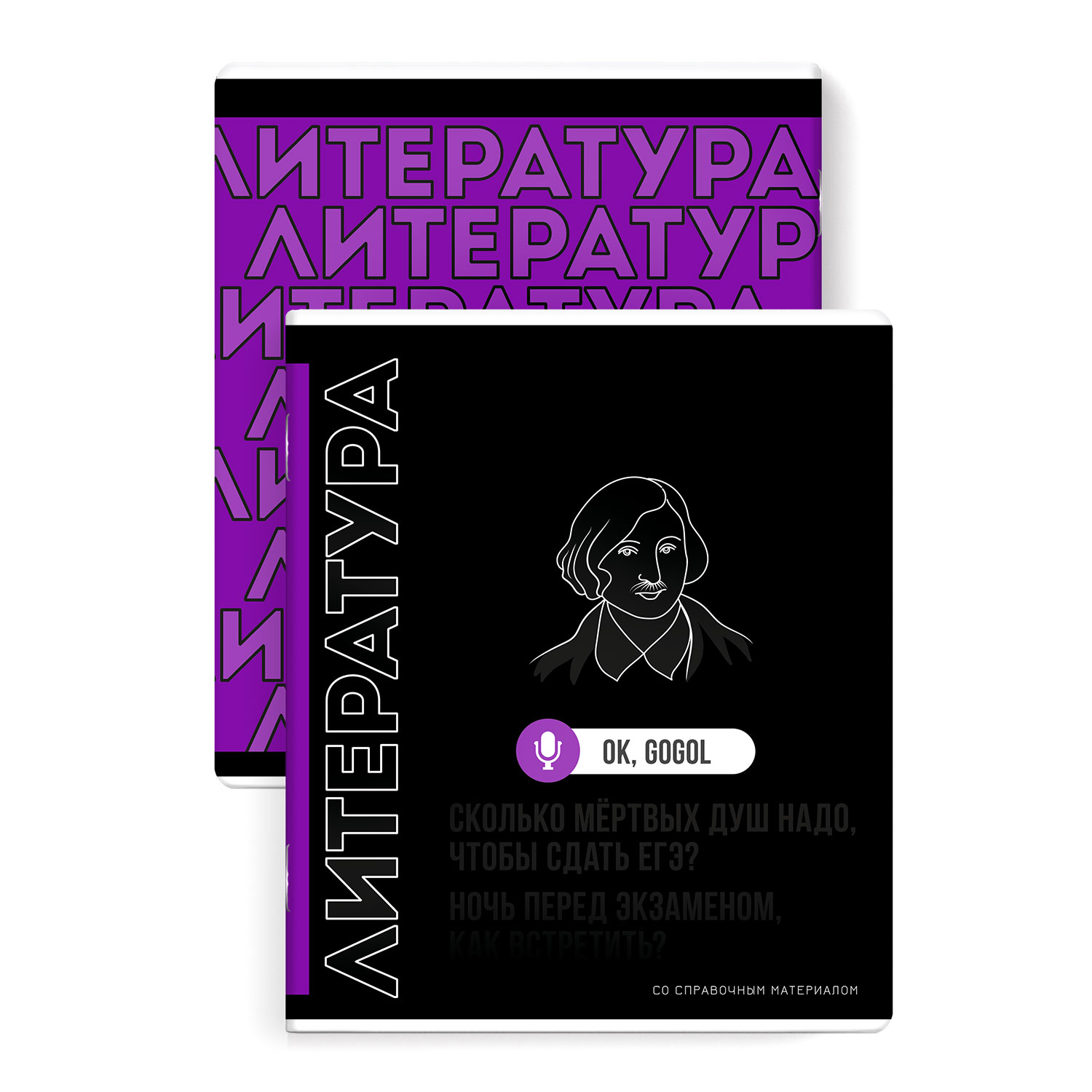 Тетрадь предметная ЛИТЕРАТУРА /48 л, ФЕНИКС+